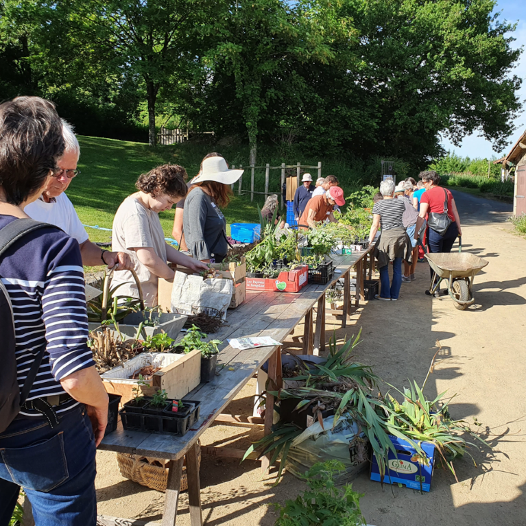 LES BONS PLANTS DU JARDIN | SEVREMONT