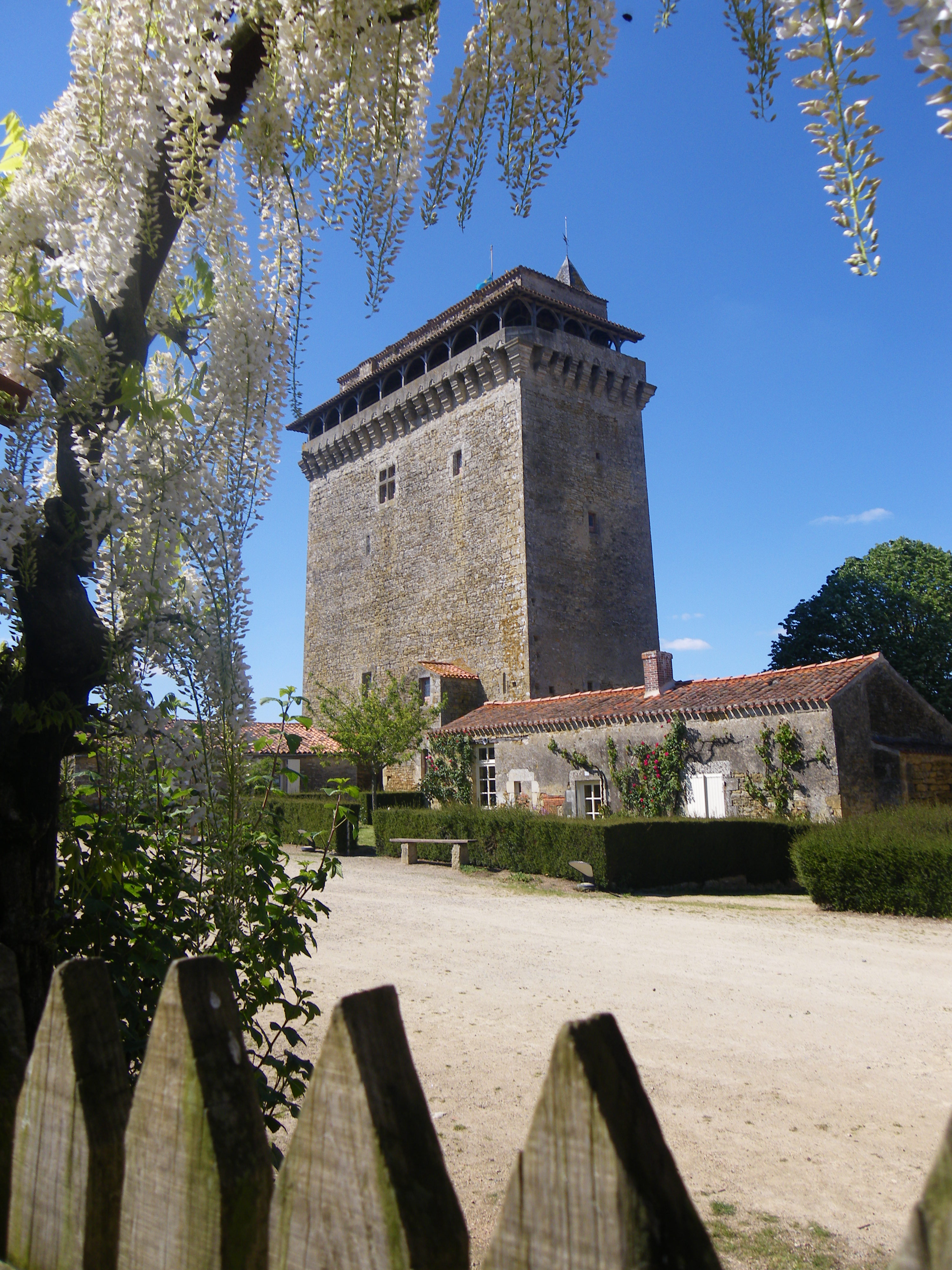 Don Jon Castelbuono Sicily