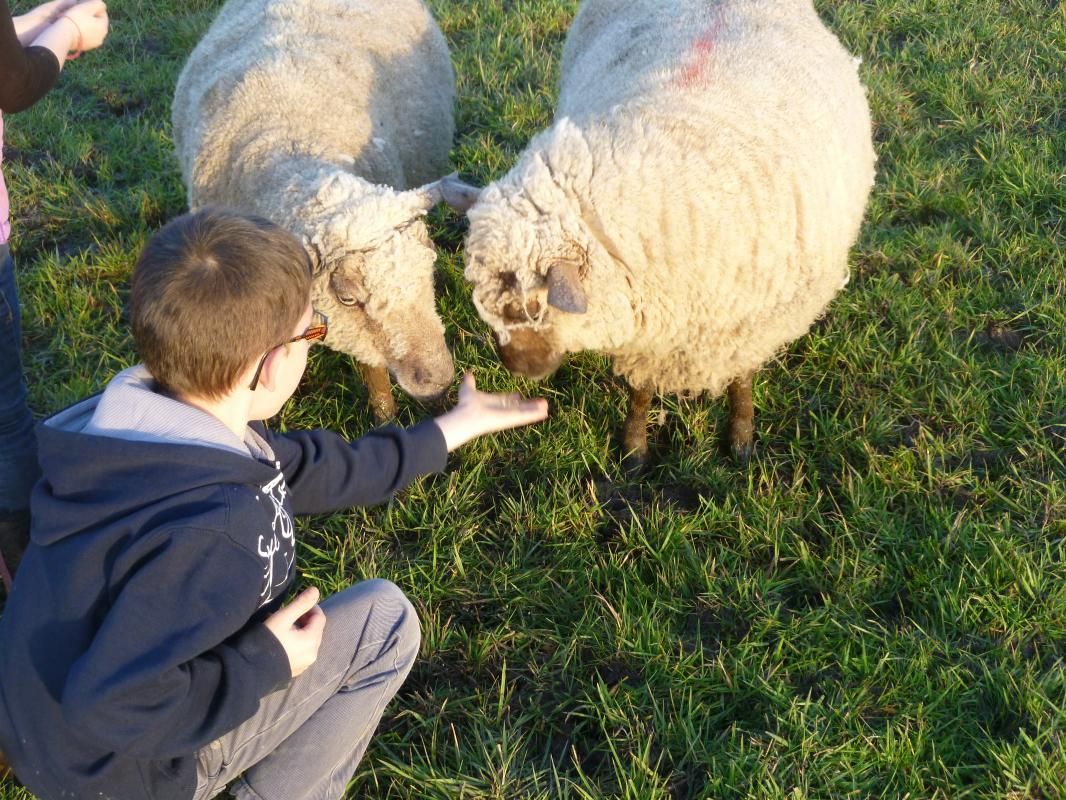 Le Grabat | Vendee Tourisme