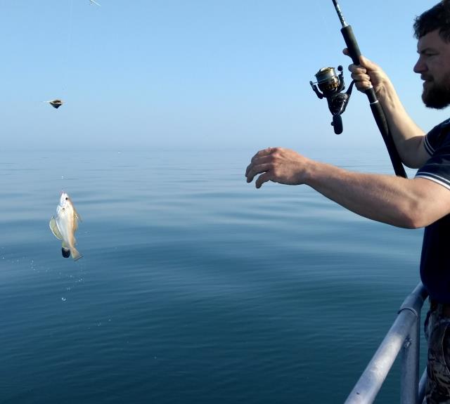 PECHE ET PROMENADE EN MER - L'AMI DU PECHEUR | Vendée Tourisme