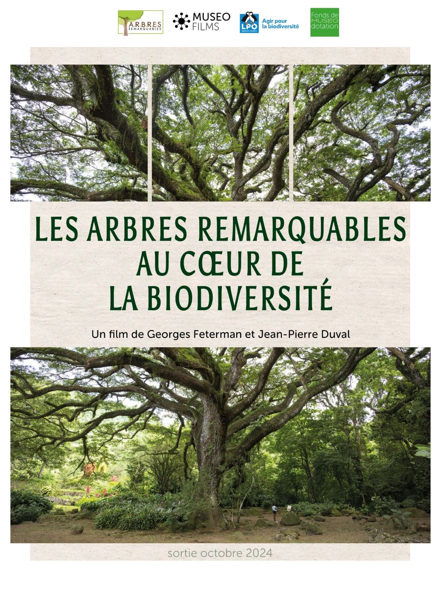 CINÉ-DÉBAT "Arbres et forêts remarquables, un univers à explorer" | FONTENAY-LE-COMTE
