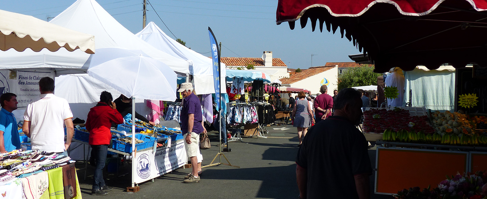 | L'AIGUILLON-LA-PRESQU'ILE | Location et gîte